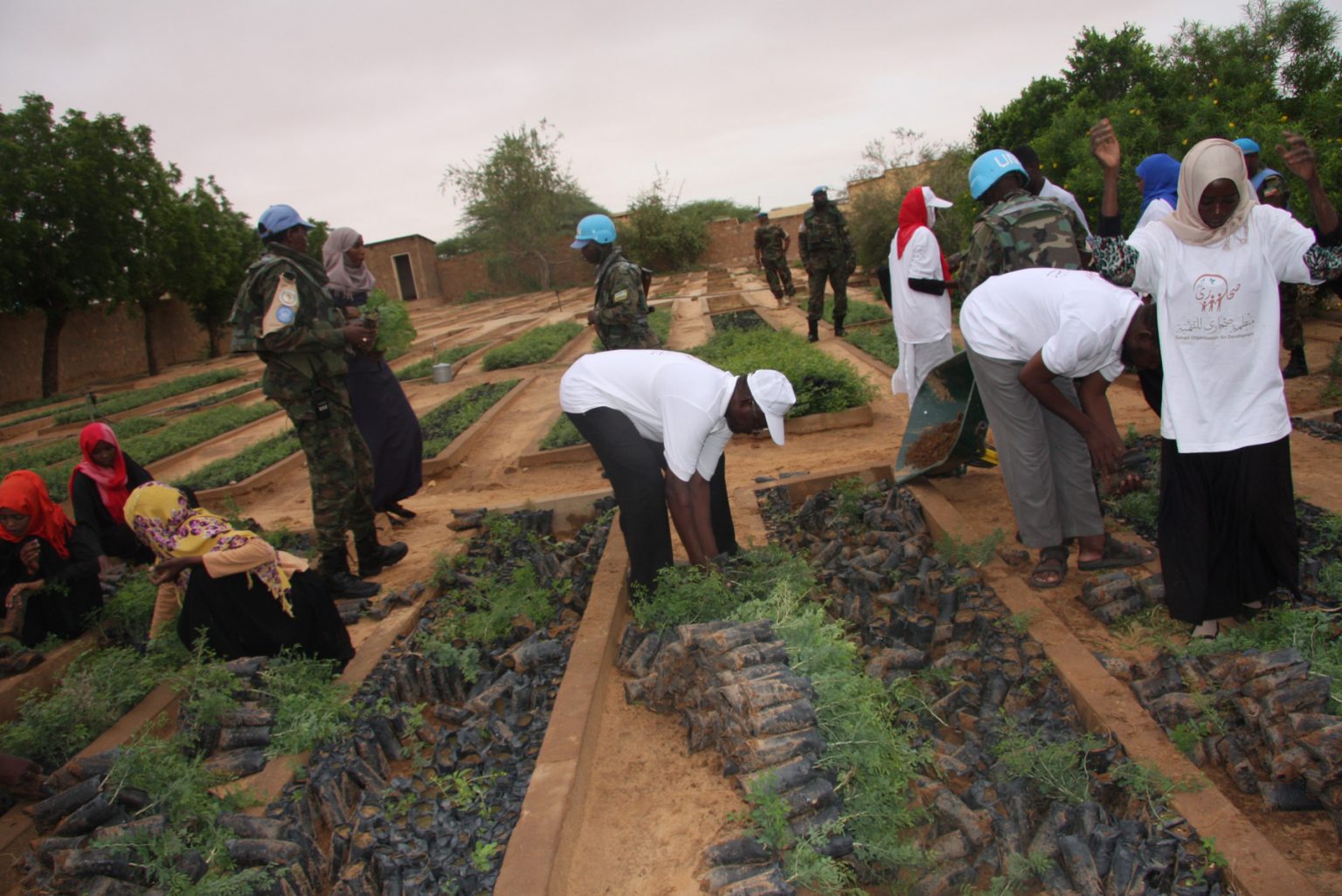 Sahari Organization for Development (SAHARI)